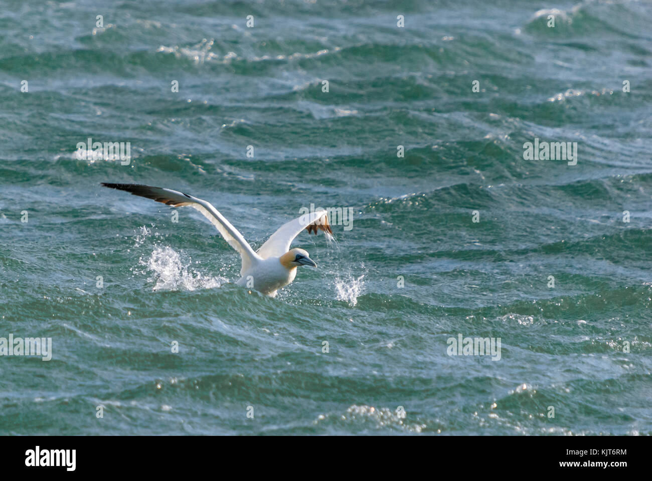 Minch scotland waves hi-res stock photography and images - Alamy