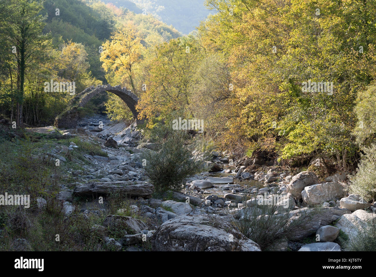 Ruins of arch bridge in mountains, Rezzo municipality, Province of ...