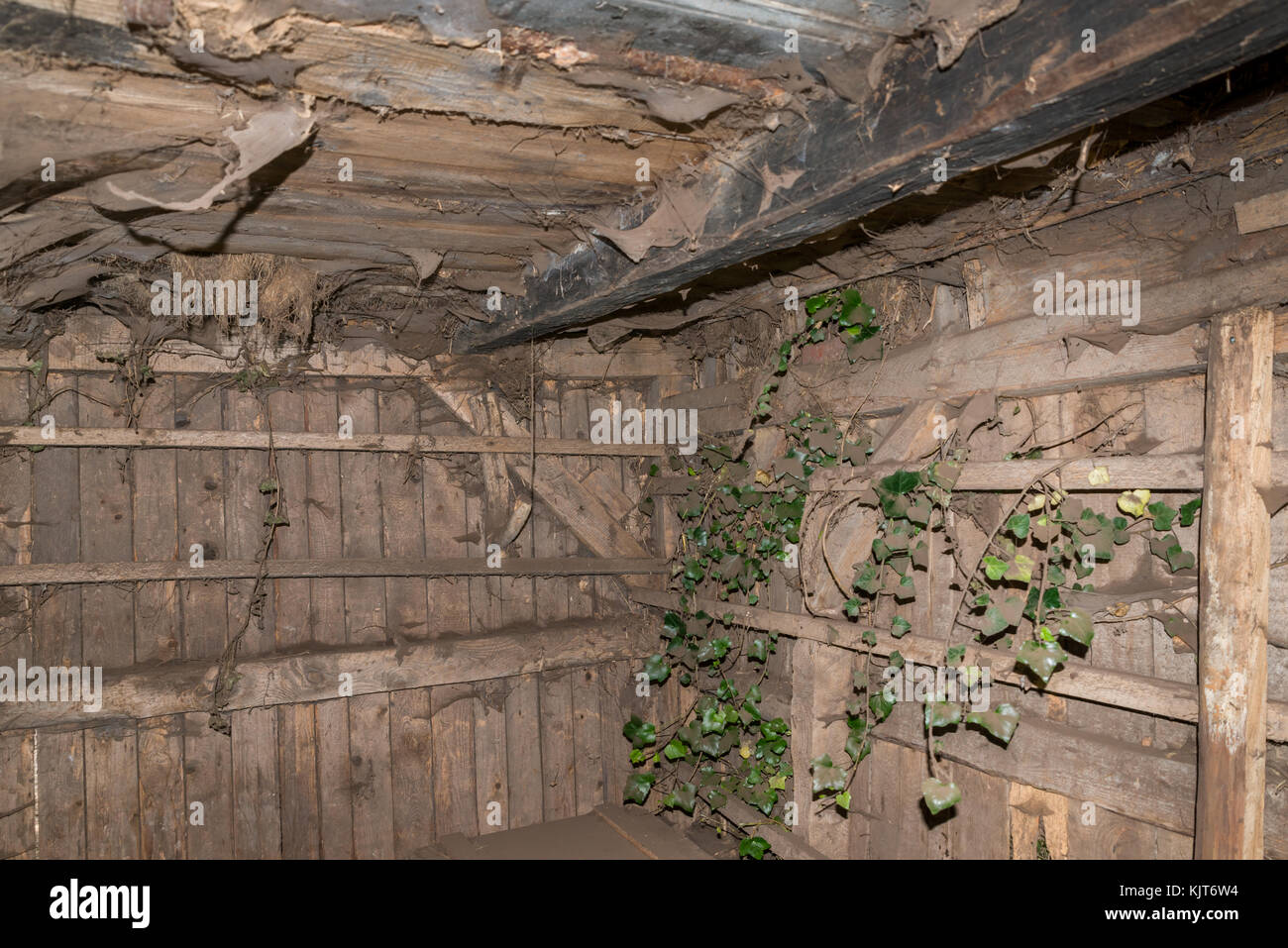 Rotten straw roof hi-res stock photography and images - Alamy