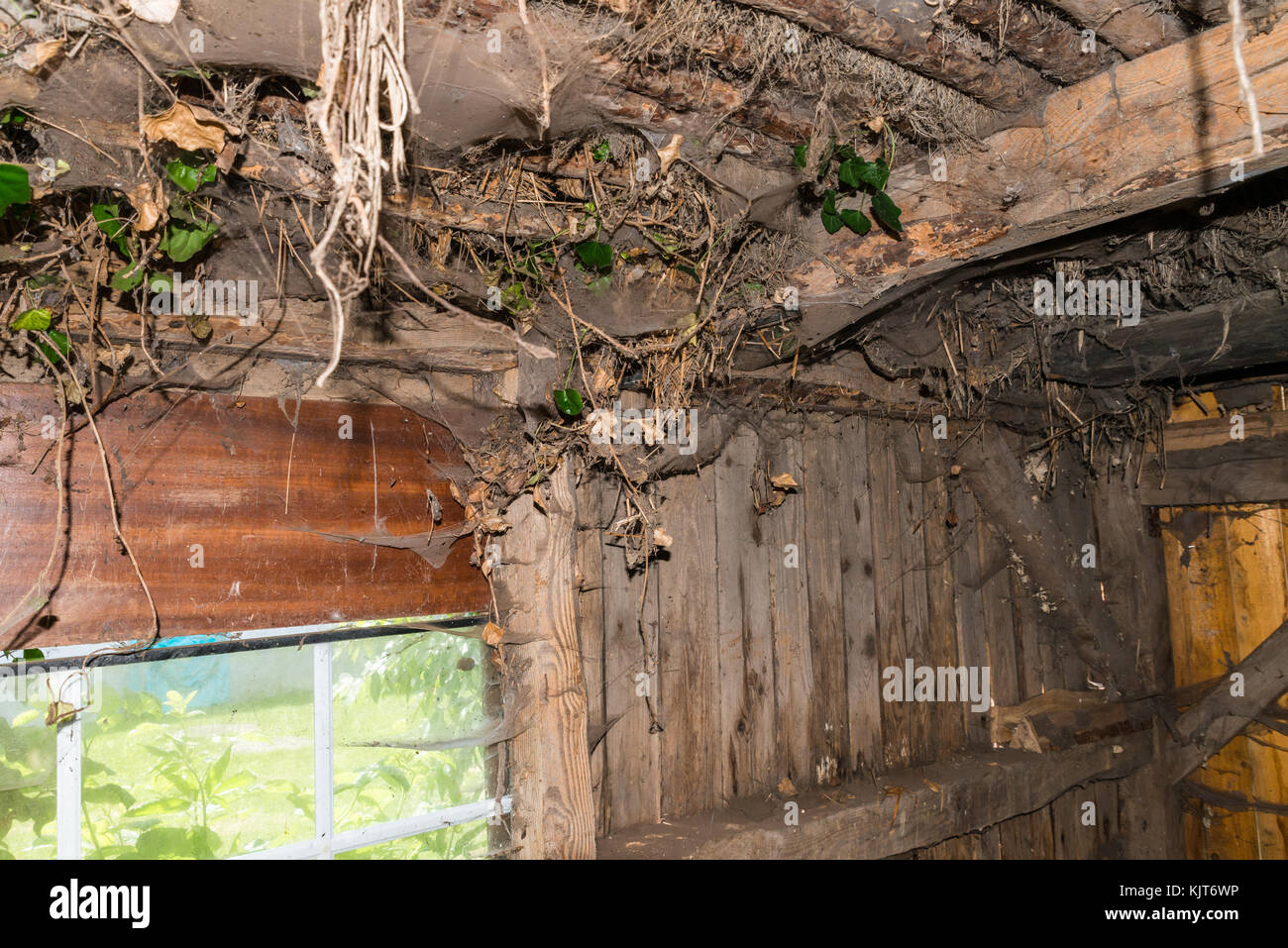 Hog house hi-res stock photography and images - Alamy