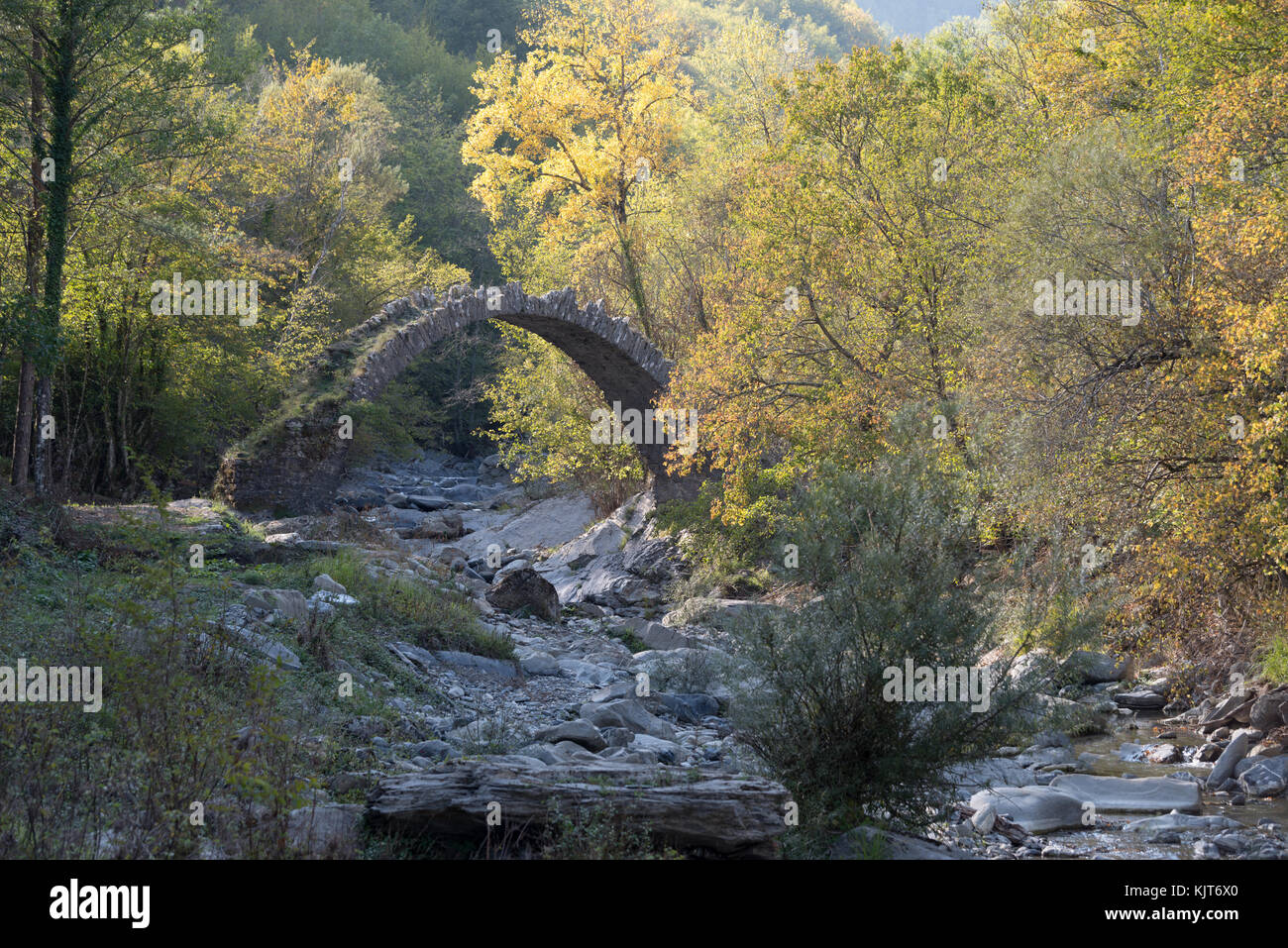 Ruins of arch bridge in mountains, Rezzo municipality, Province of ...