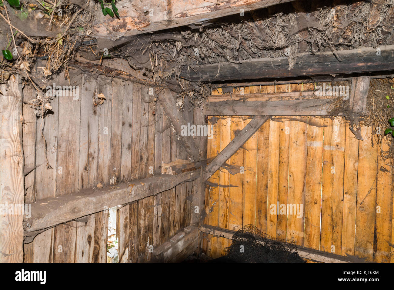 Hog house hi-res stock photography and images - Alamy