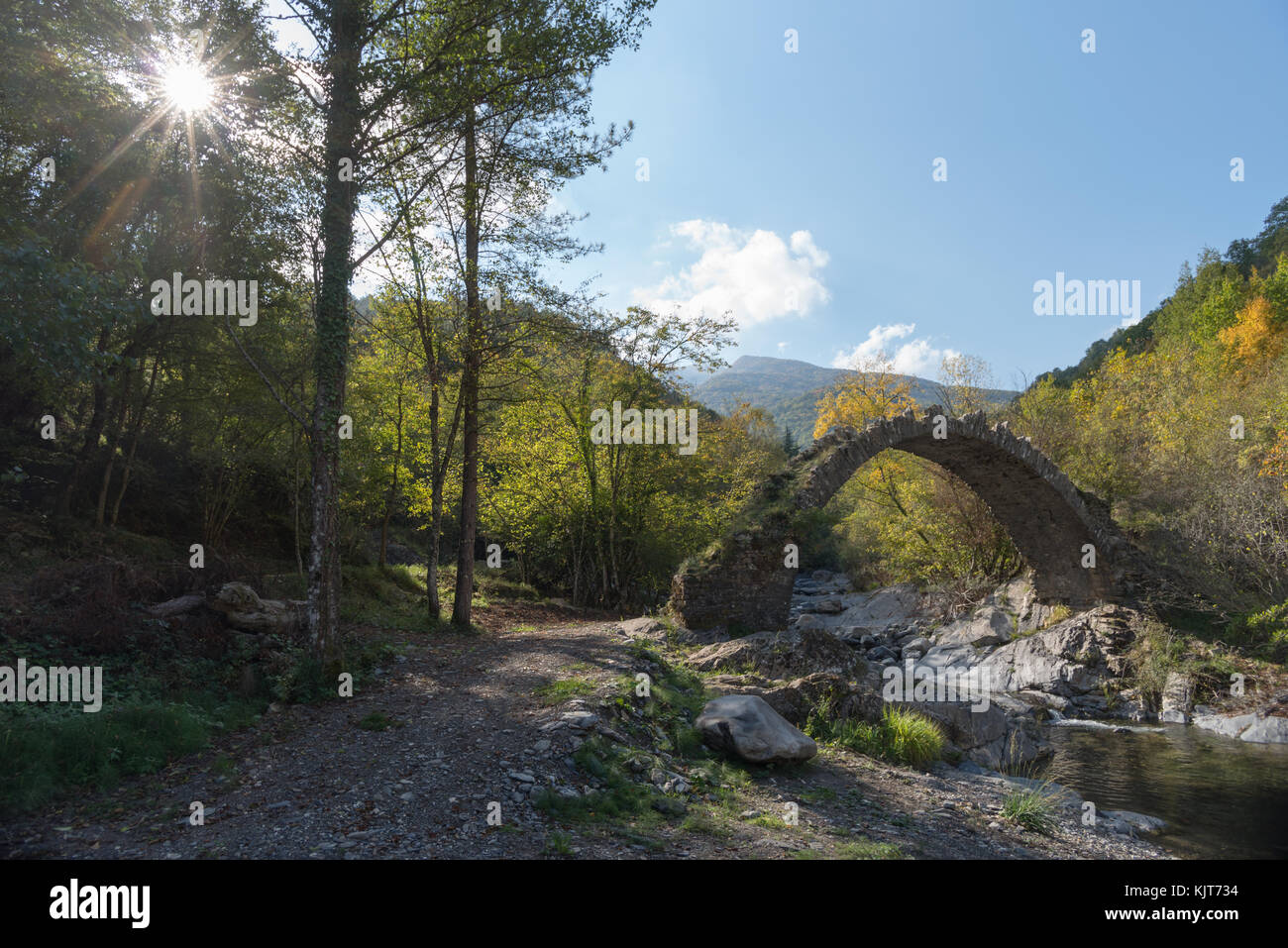 Ruins of arch bridge in mountains, Rezzo municipality, Province of ...