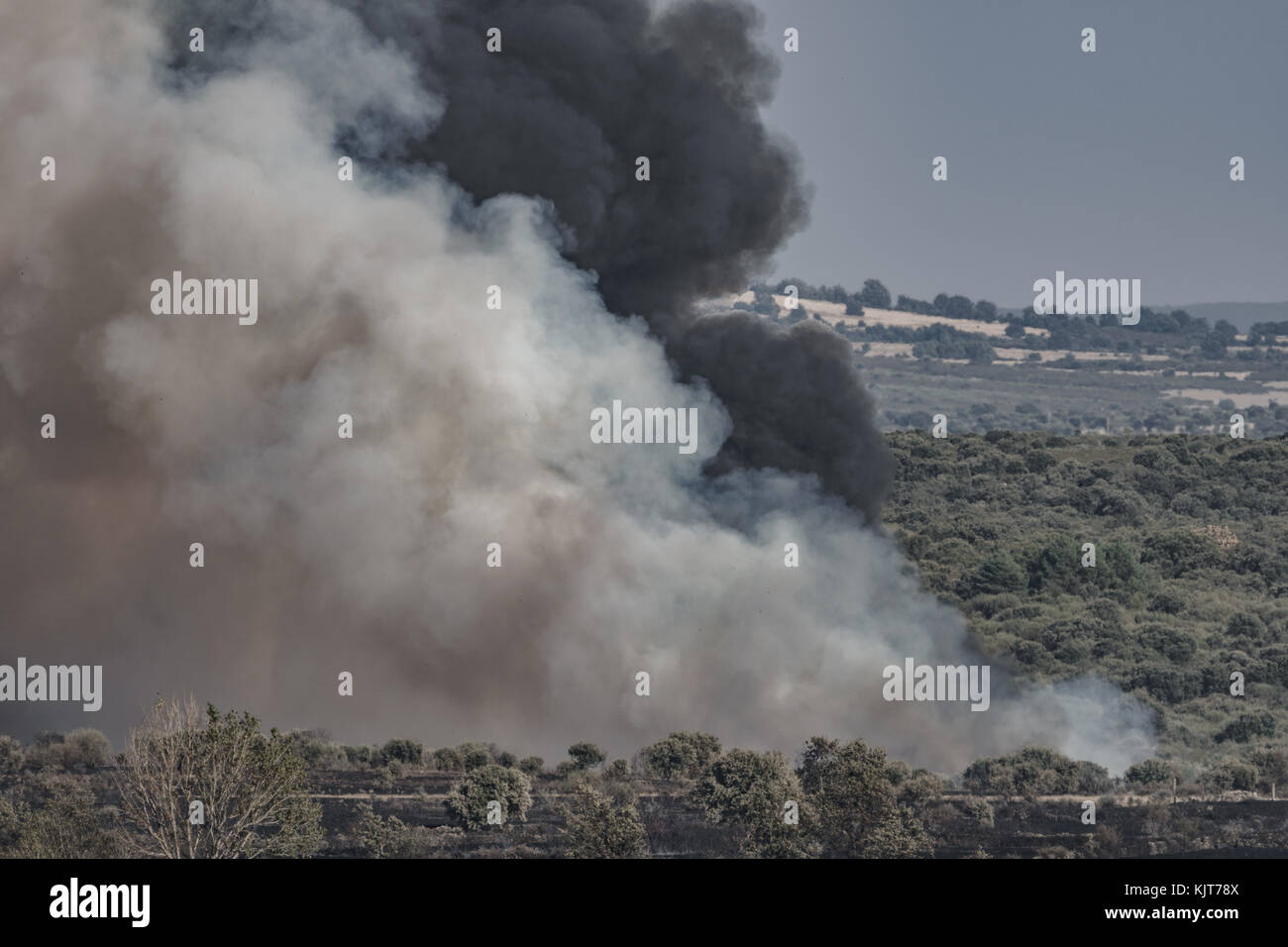 Fire in the wilderness, huge column of smoke Stock Photo - Alamy