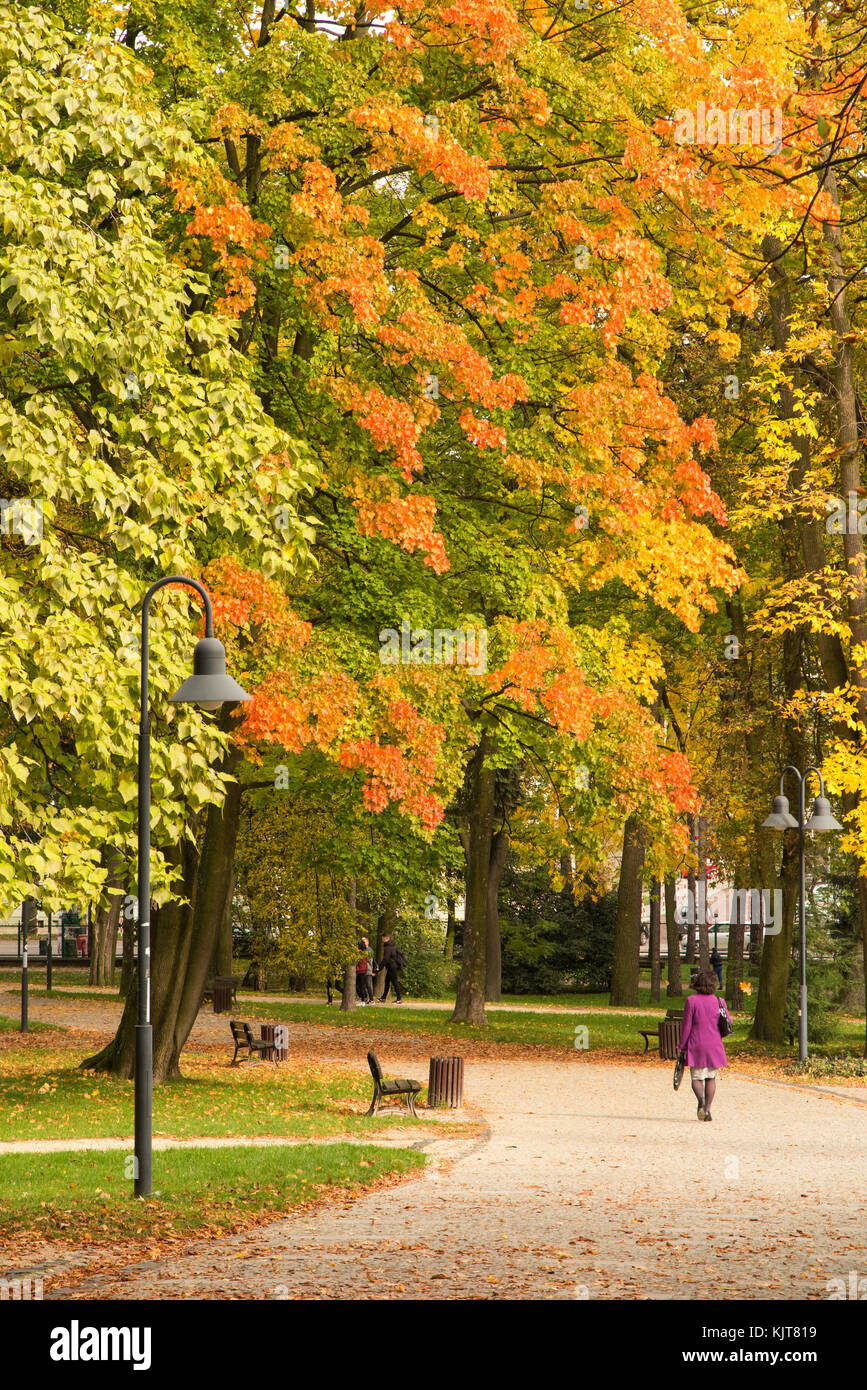 Group walking in park autumn hi-res stock photography and images - Alamy