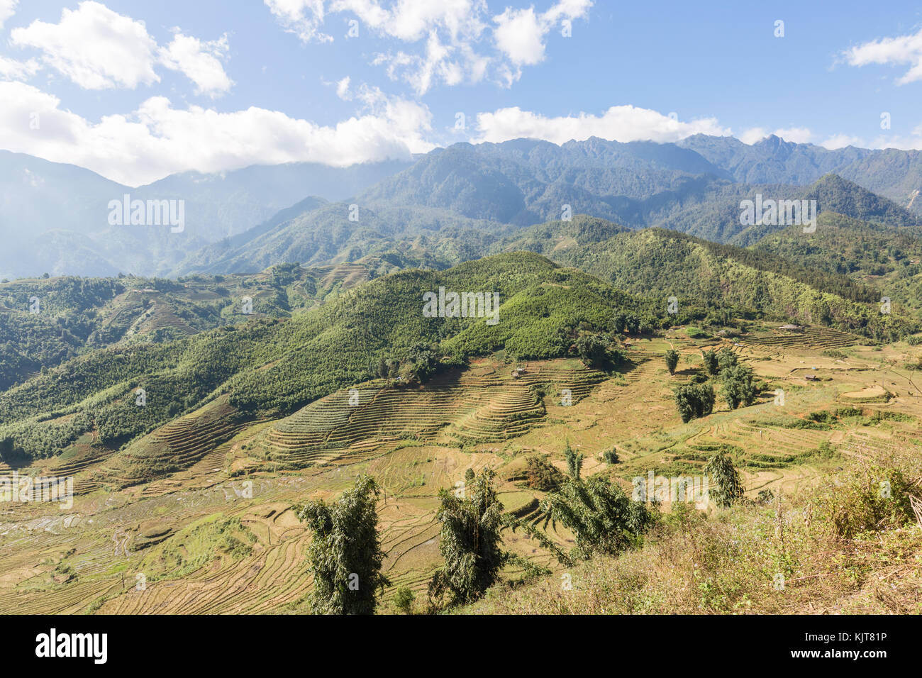Landscape of Sapa valley in Vietnam Stock Photo - Alamy