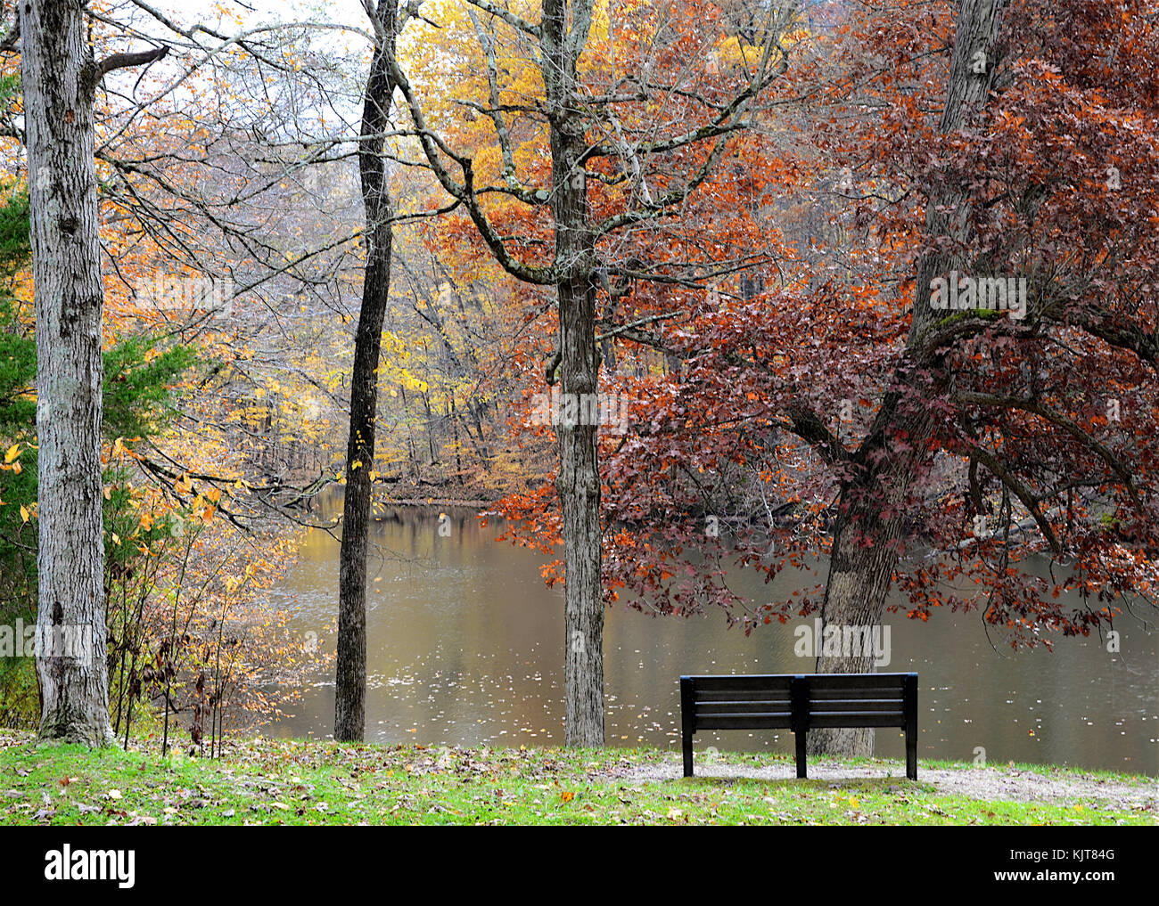 Shades State Park, Parke County, Indiana 10 17 Stock Photo - Alamy