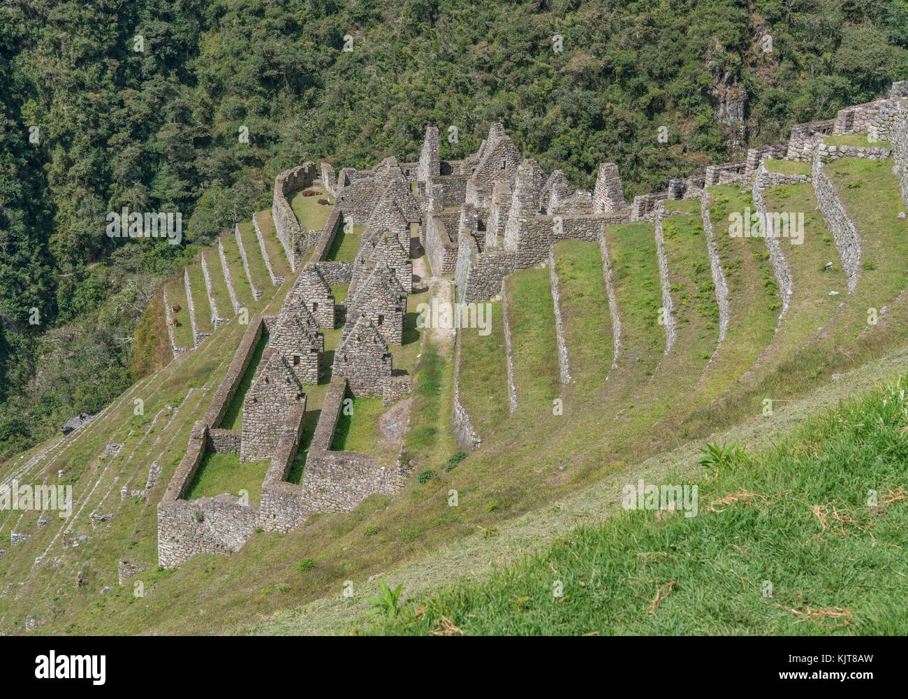 Inca ruler hi-res stock photography and images - Alamy