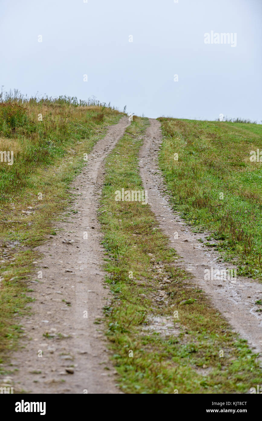 empty gravel road in the countryside with trees in surrounding ...
