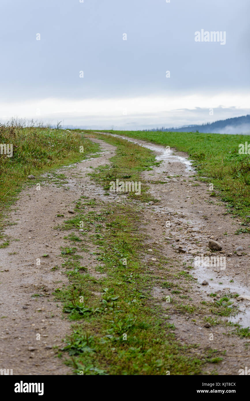 empty gravel road in the countryside with trees in surrounding ...