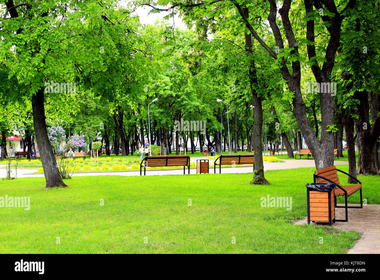 beautiful city park with nice promenade path benches and big green ...