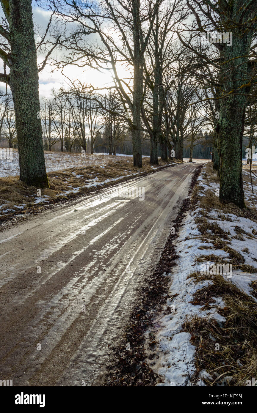 country road in winter with tyre tracks in the snow and ice Stock Photo ...