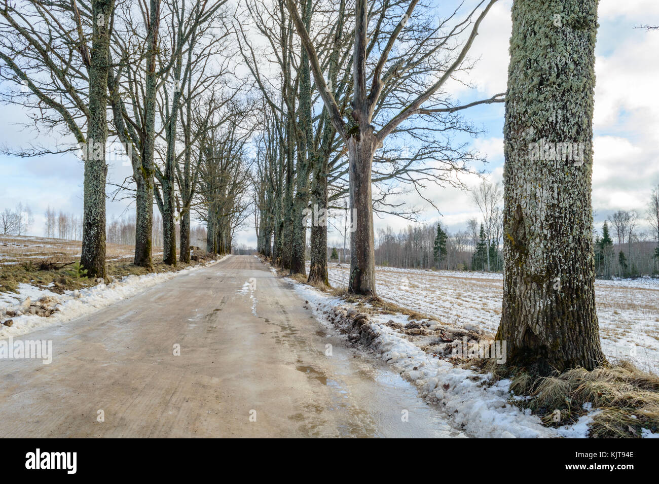 country road in winter with tyre tracks in the snow and ice Stock Photo ...