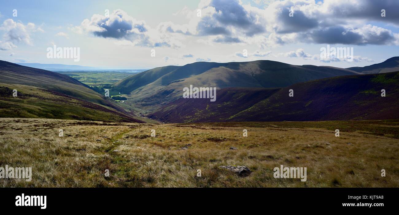 Purple Heather on Comb Height Stock Photo - Alamy