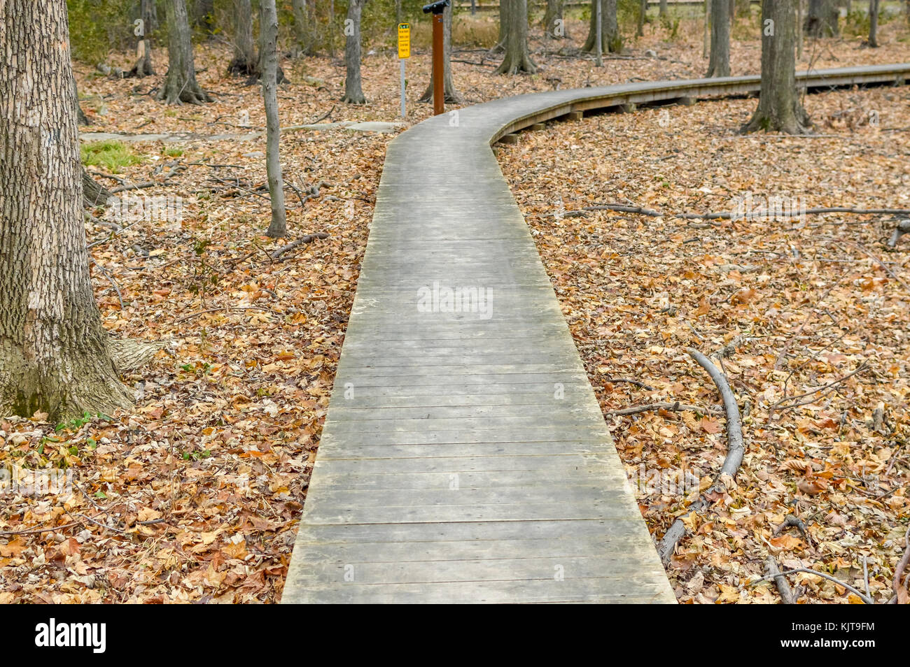 Brown pathways hi-res stock photography and images - Alamy