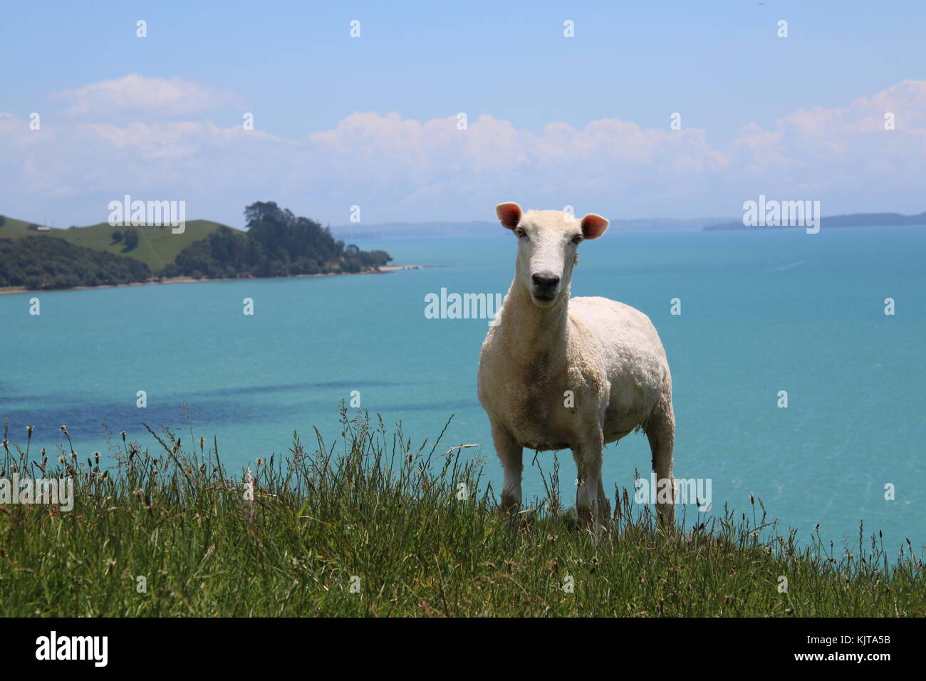 Beauty of peace hi-res stock photography and images - Alamy