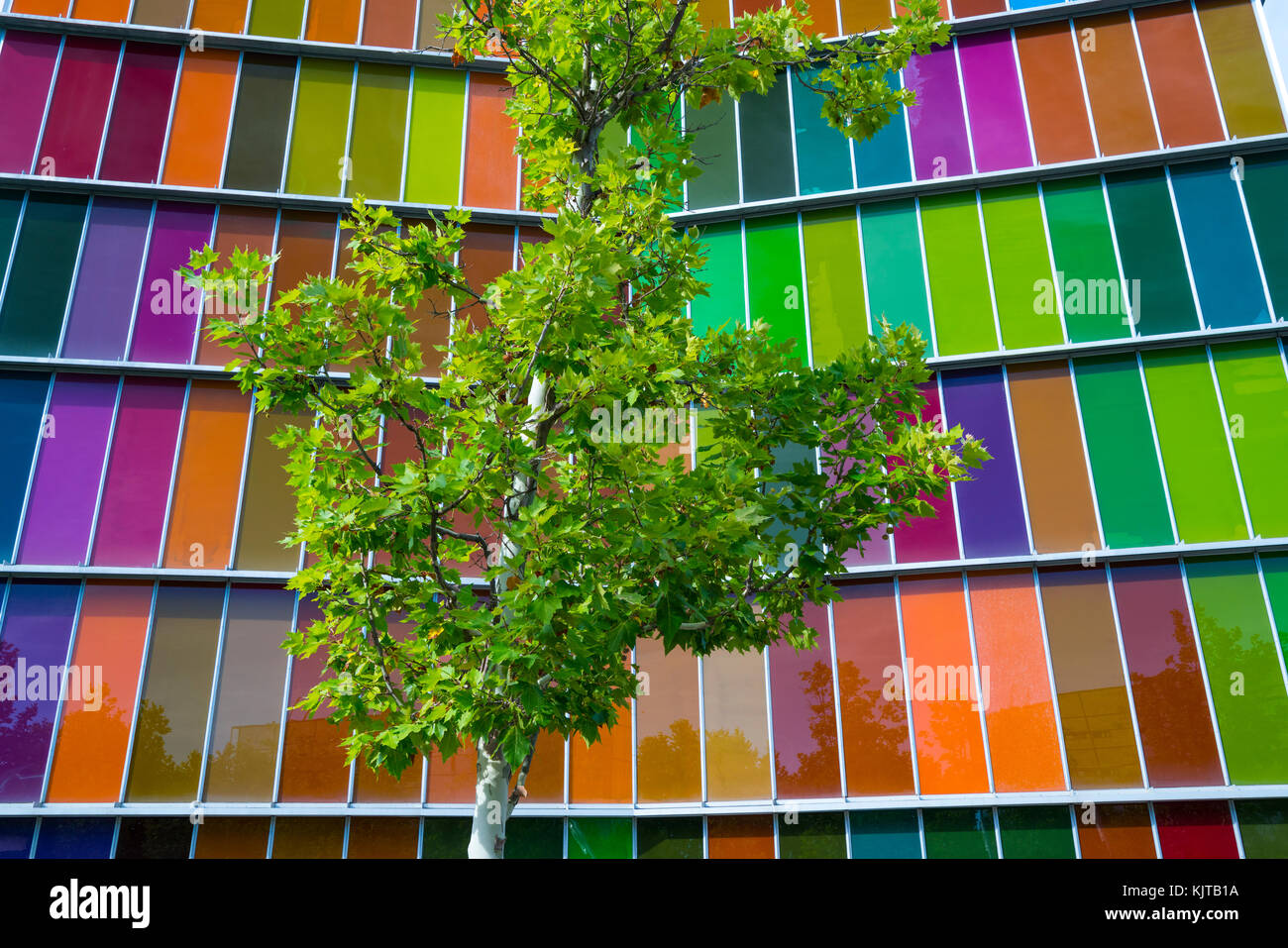 MUSAC Museo de Arte Contemporaneo de Castilla y Leon, Leon city, Leon ...