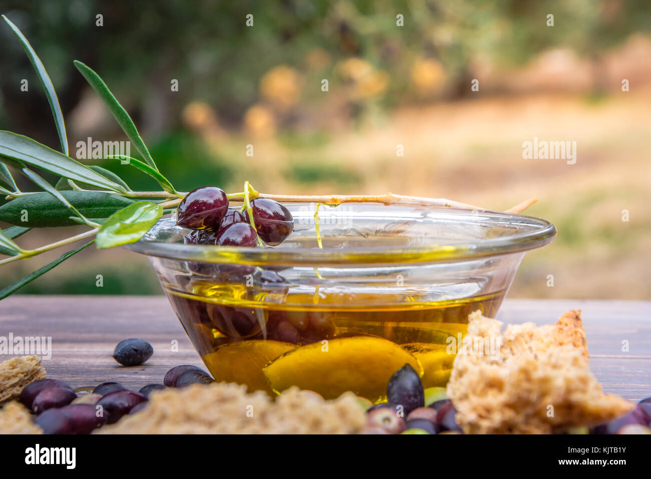 Bowl with extra virgin olive oil, olives, a fresh branch of olive tree ...
