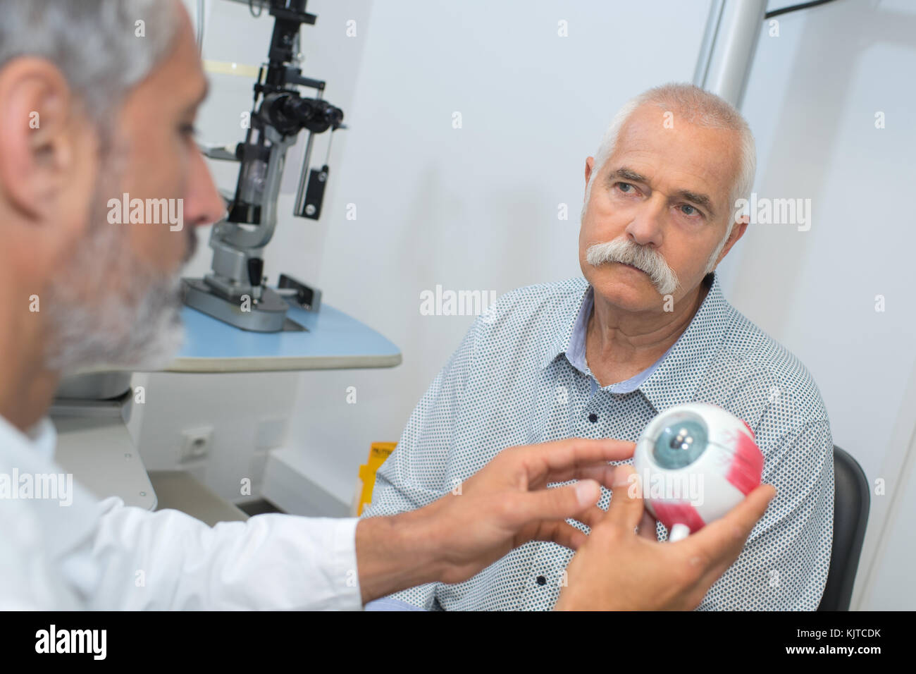 Structura oculus hi-res stock photography and images - Alamy