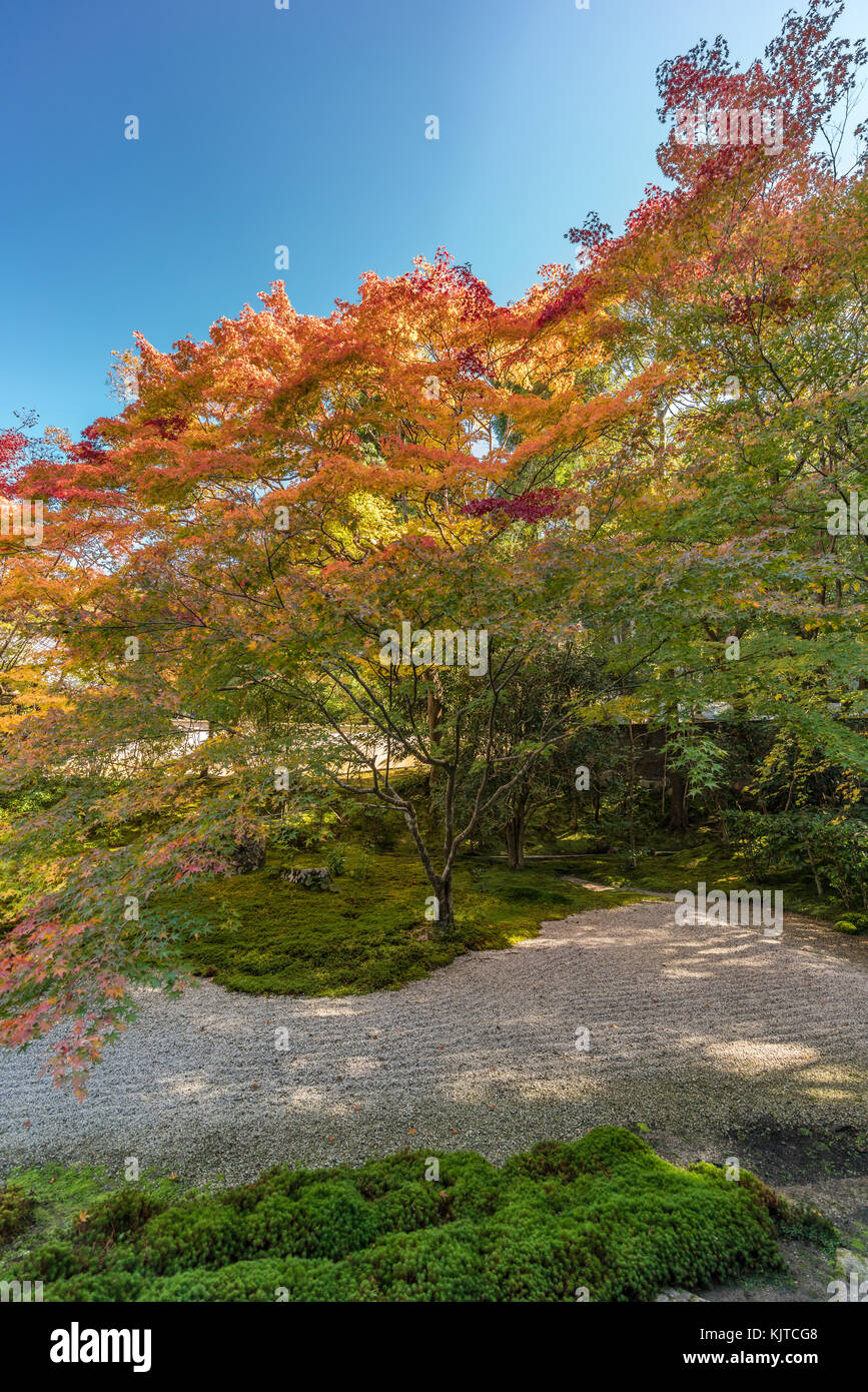 Autumn leaves Fall foliage at Tenjuan Temple raked gravel Rock Garden ...