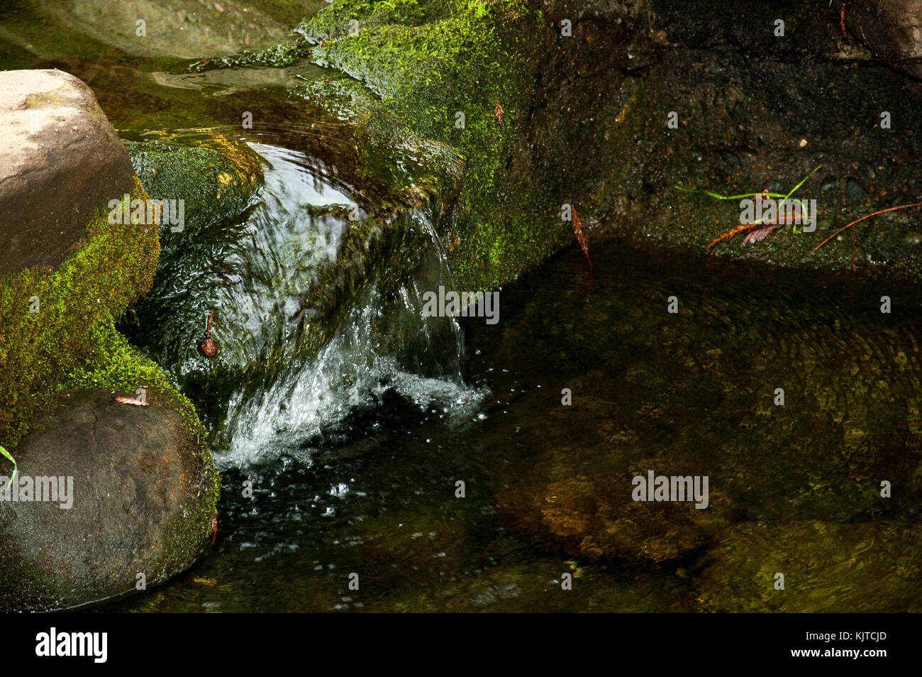 Water lifesource hi-res stock photography and images - Alamy