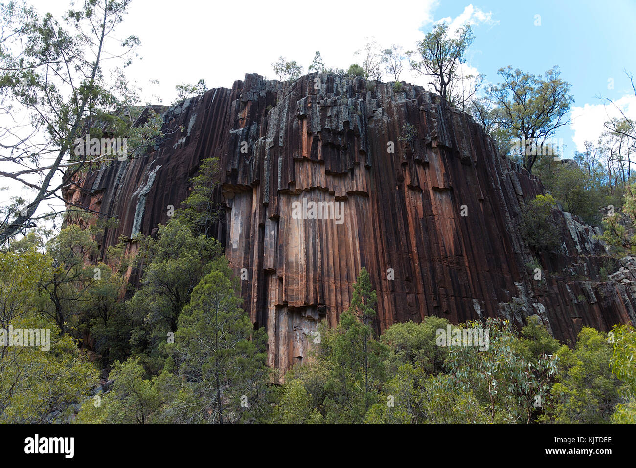 Sawn Rocks is a 40 metre basalt cliff face featuring perpendicular ...