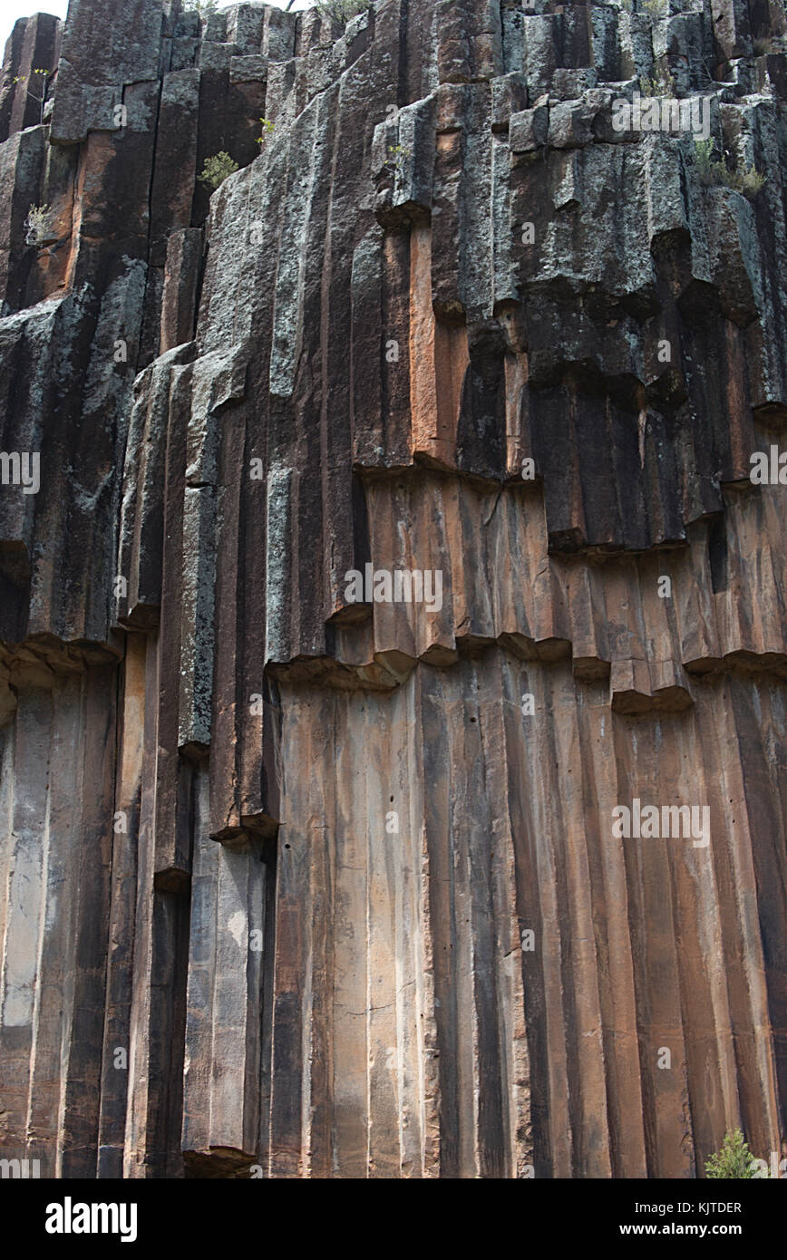 Sawn Rocks is a 40 metre basalt cliff face featuring perpendicular ...