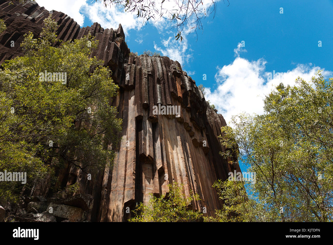 Sawn Rocks is a 40 metre basalt cliff face featuring perpendicular ...