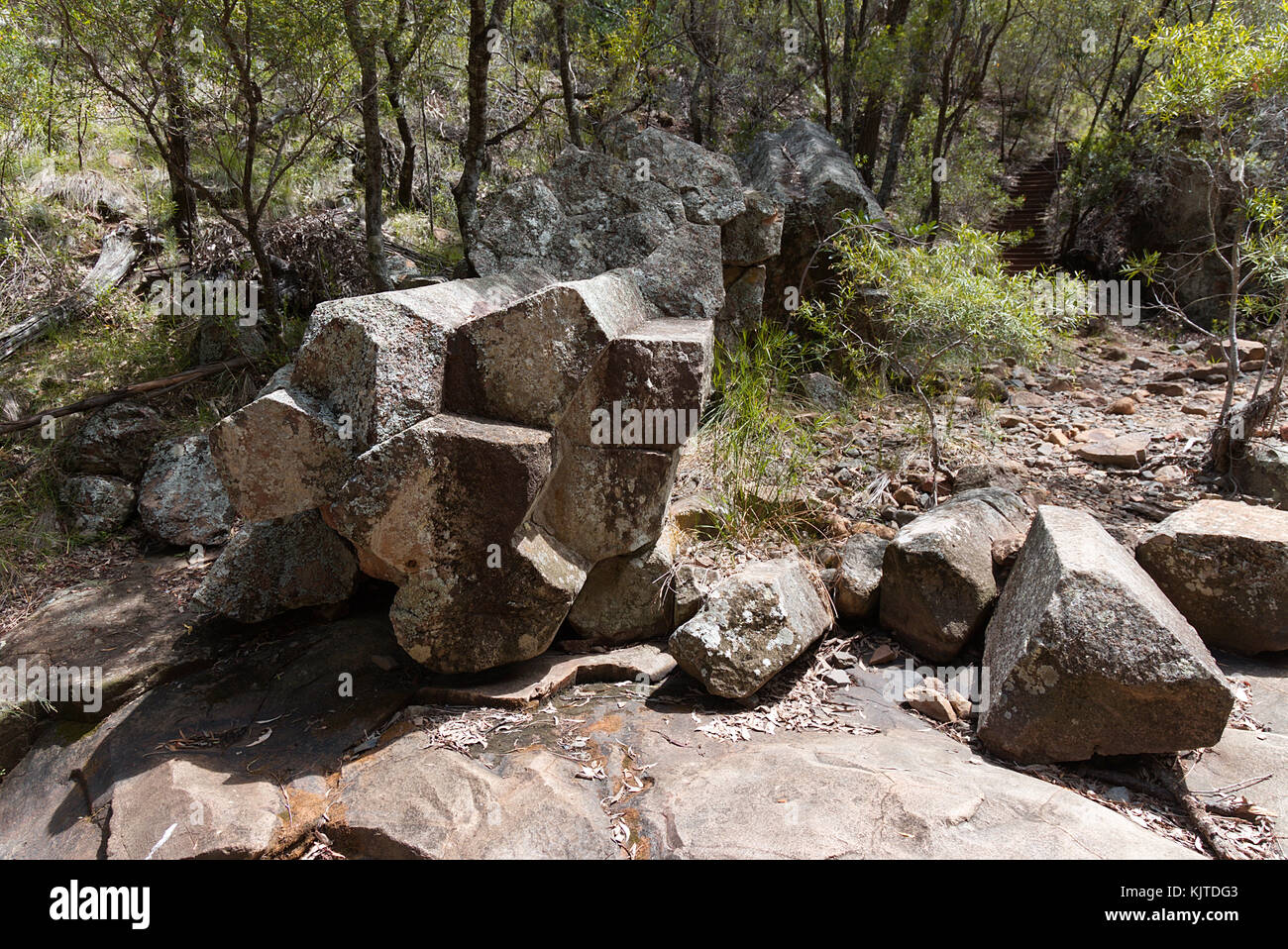 Sawn Rocks is a 40 metre basalt cliff face featuring perpendicular ...