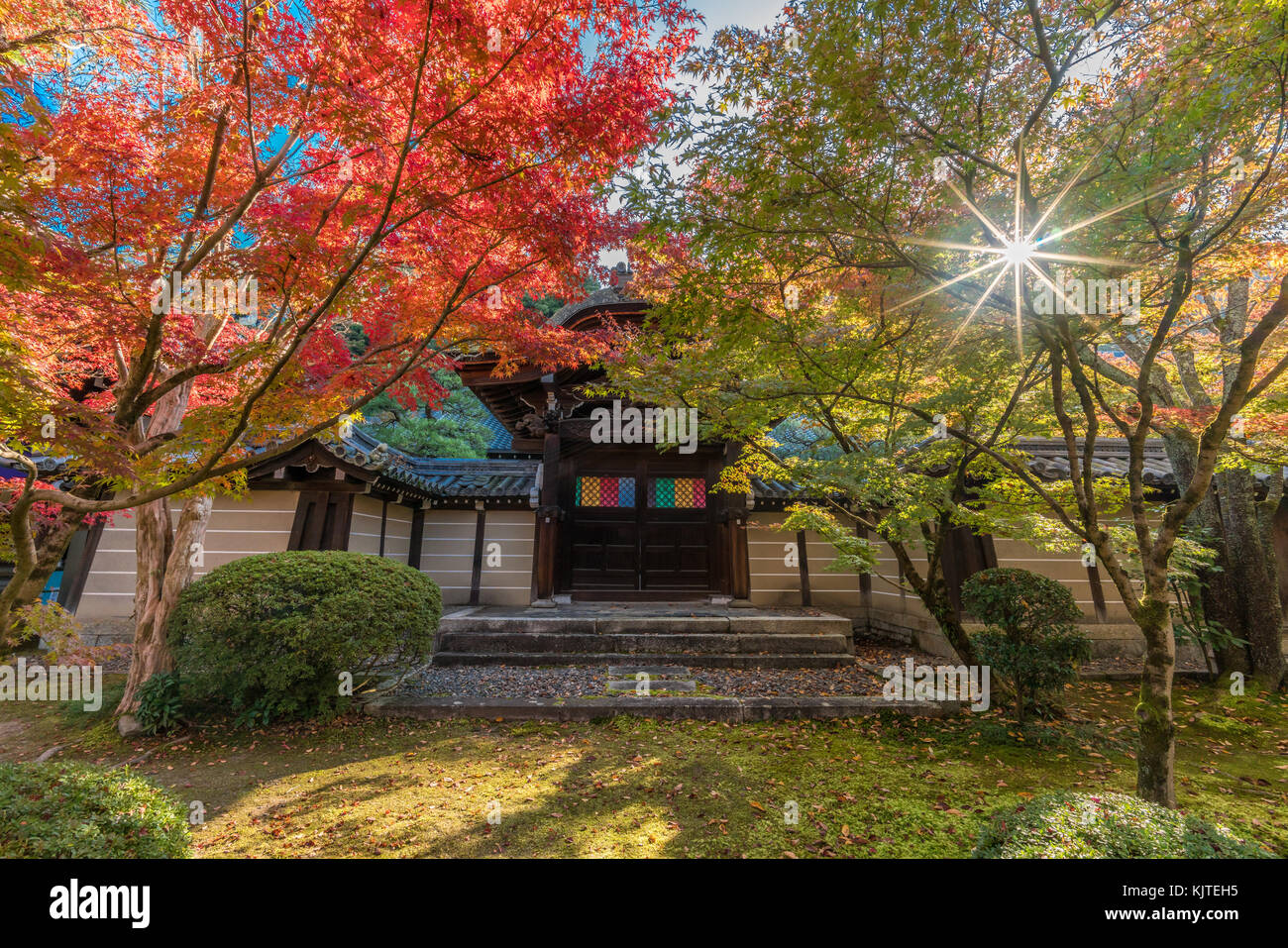 Beautiful autumn colors and Momiji (Maple trees) fall foliage at ...