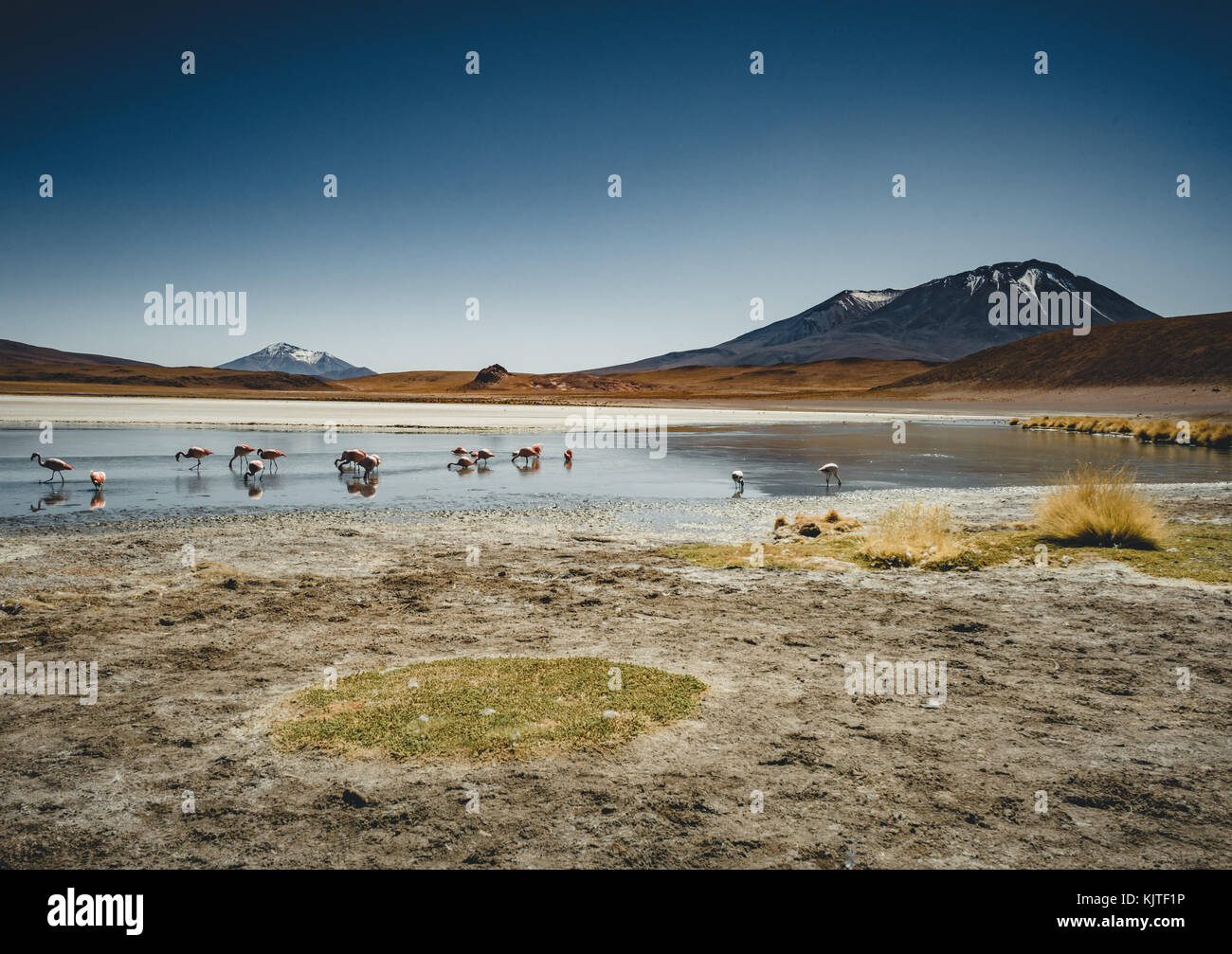 Altiplanu hi-res stock photography and images - Alamy