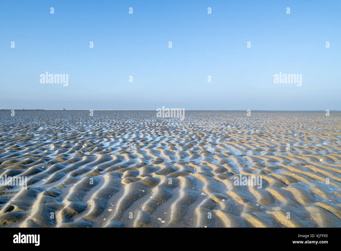 Lower saxony wadden sea national park hi-res stock photography and ...