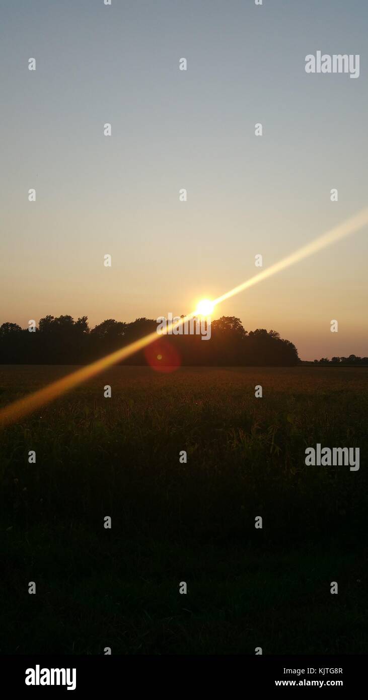 A beautiful picture of the sun setting over a forest of trees on a calm ...