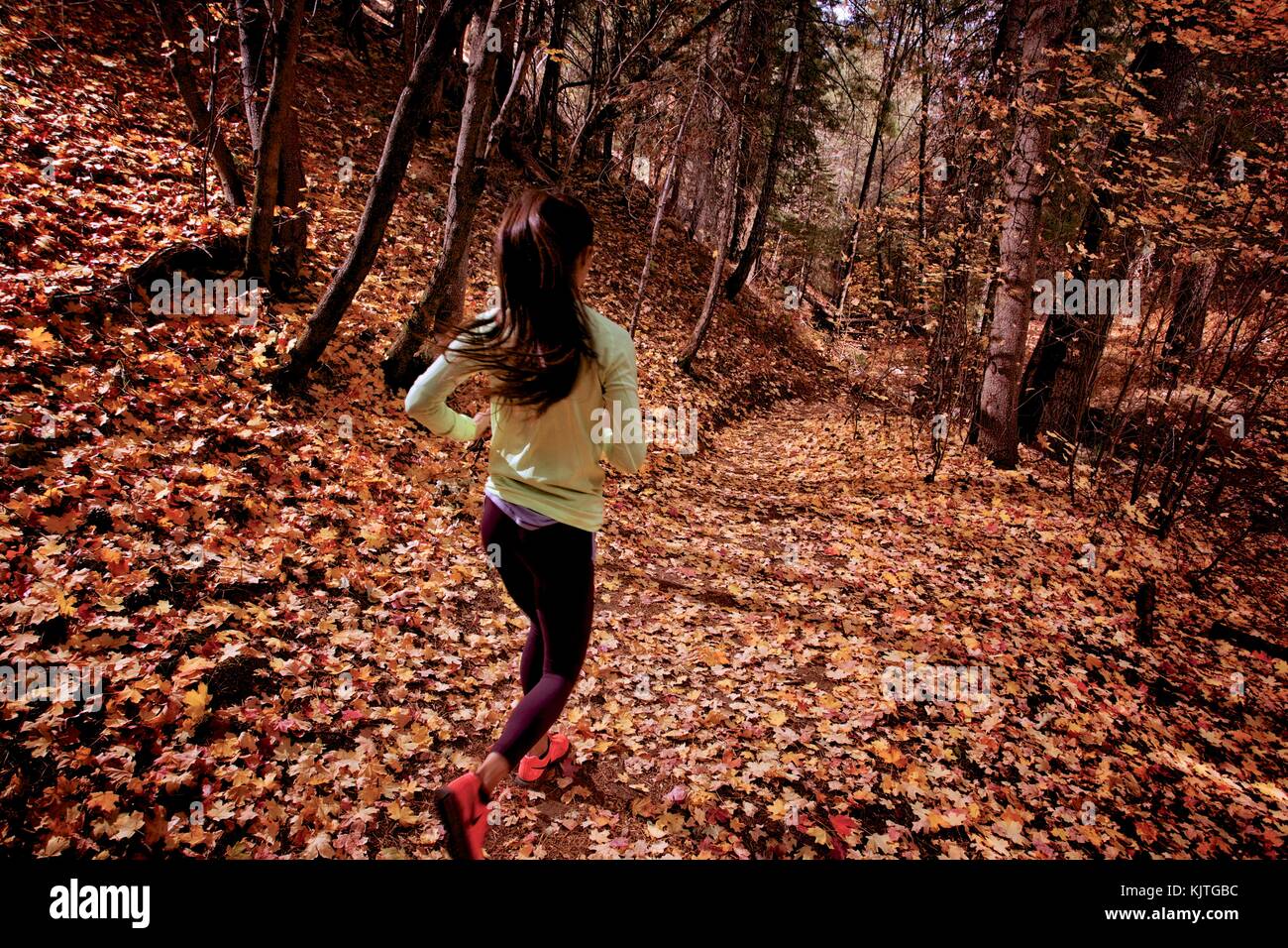 Trail running in the fall Stock Photo - Alamy