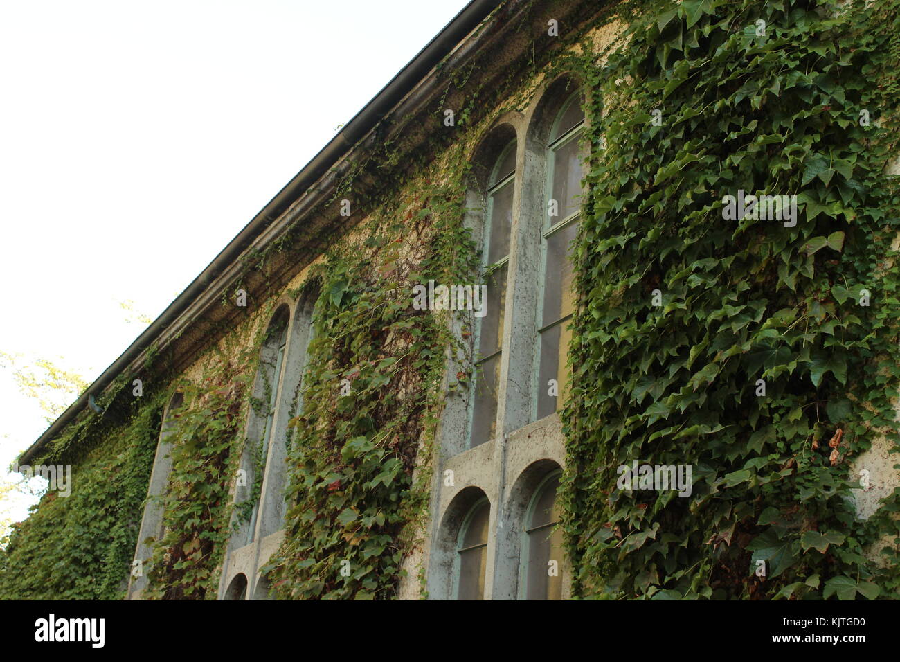 Historic building with greenery Stock Photo - Alamy