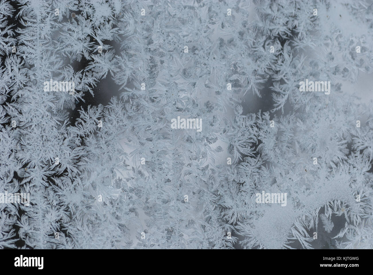 frosty patterns in the window Stock Photo - Alamy