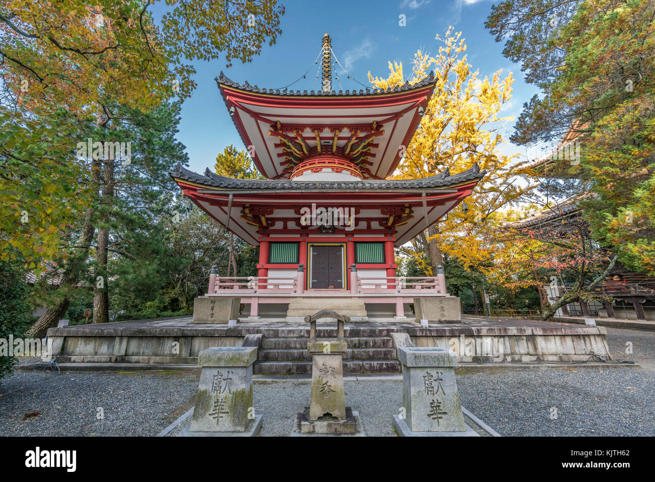 Ichou (ginkgo tree) Autumn colors, Fall foliage and Inscriptions: Rei ...