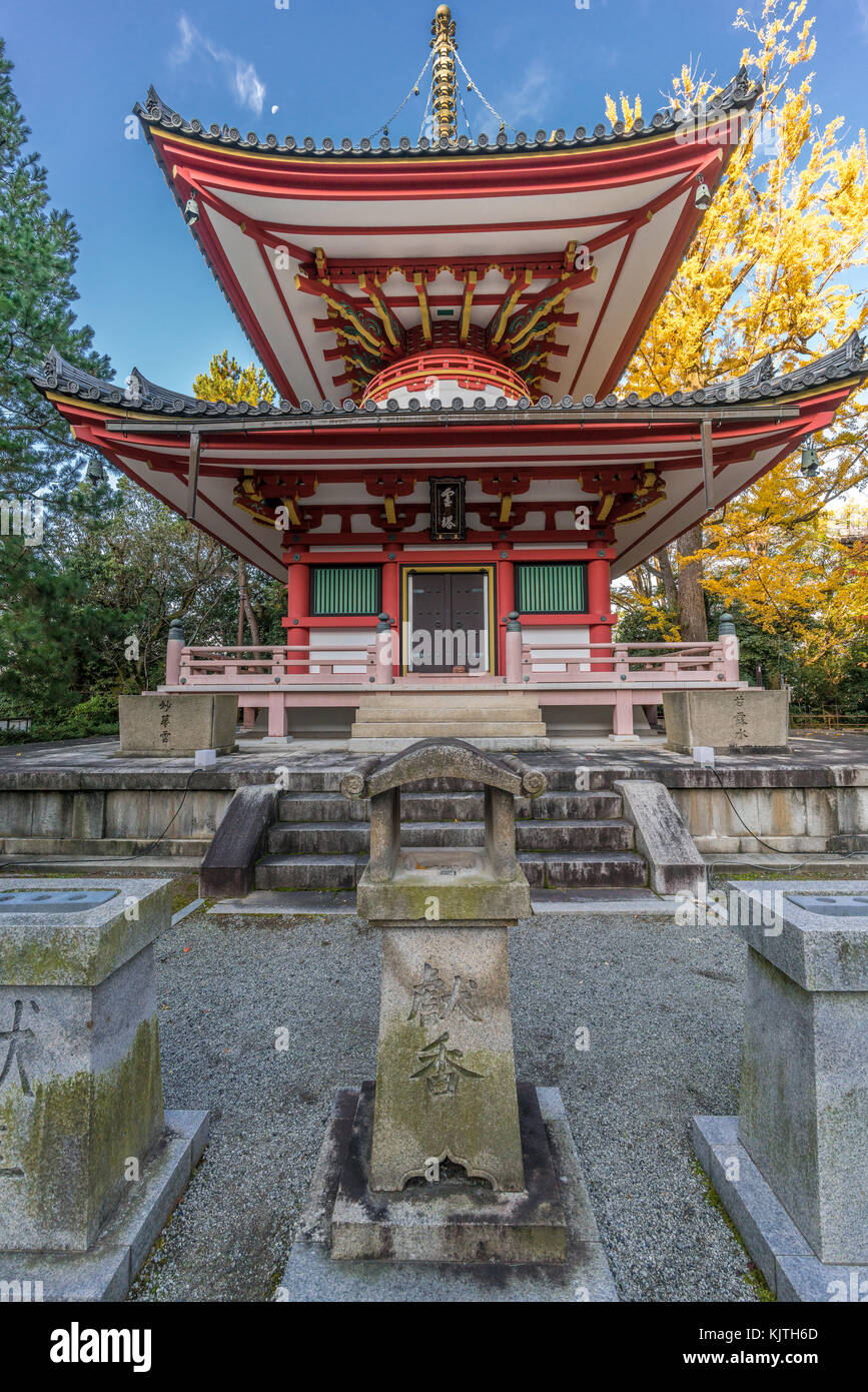 Ichou (ginkgo tree) Autumn colors, Fall foliage and Inscriptions: Rei ...