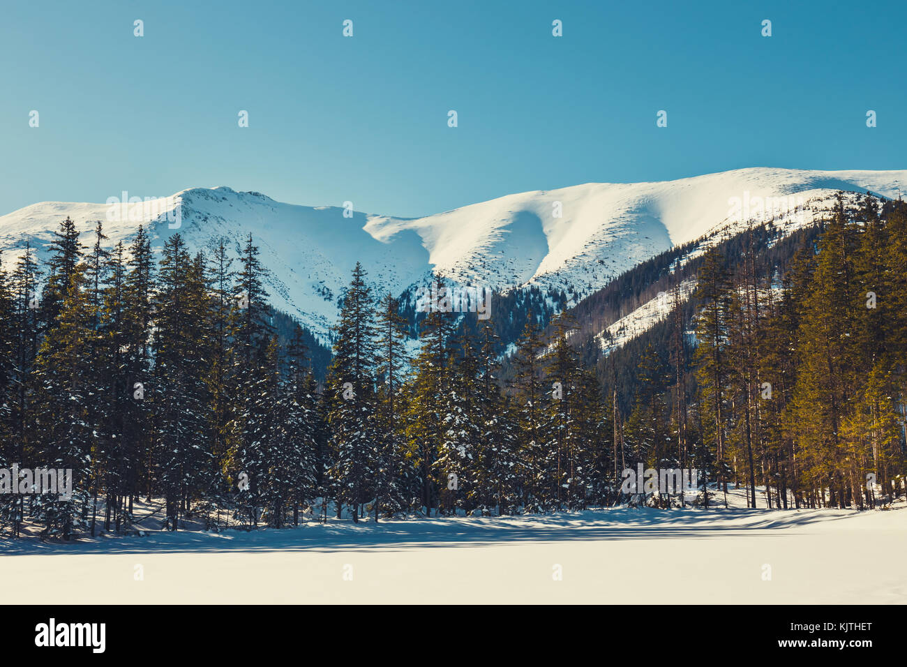 winter in the Tatra Mountains, Koscieliska Valley Stock Photo - Alamy