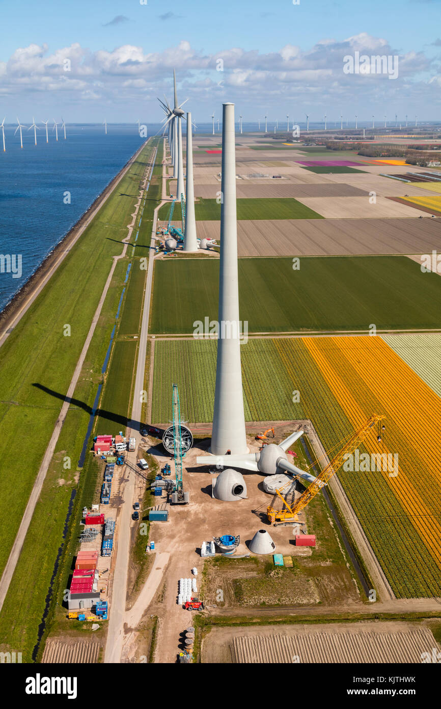 Aerial view of wind turbines at sea, North Holland, Netherlands Stock ...