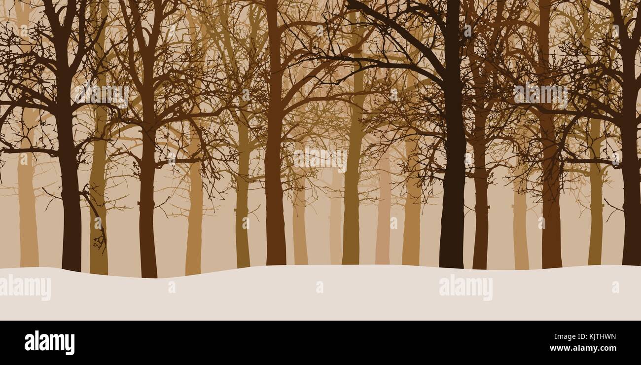 Vector illustration of a winter forest without leaves with snow and ...