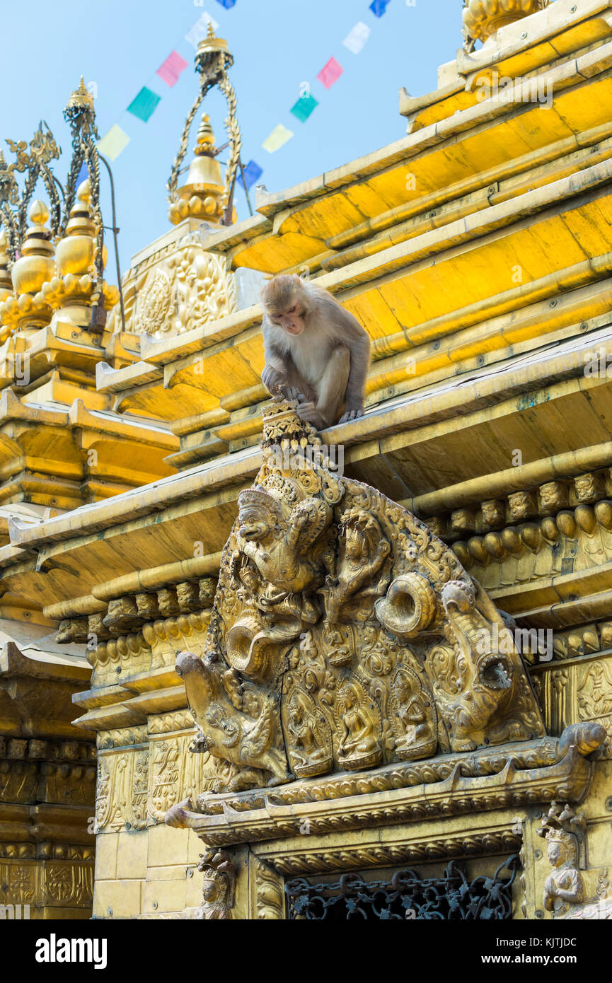 Kathmandu temple roof hi-res stock photography and images - Alamy
