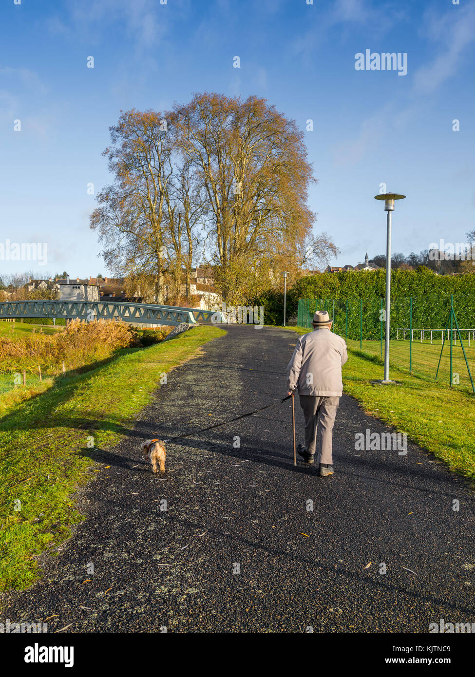 Old man walking dog hi-res stock photography and images - Alamy