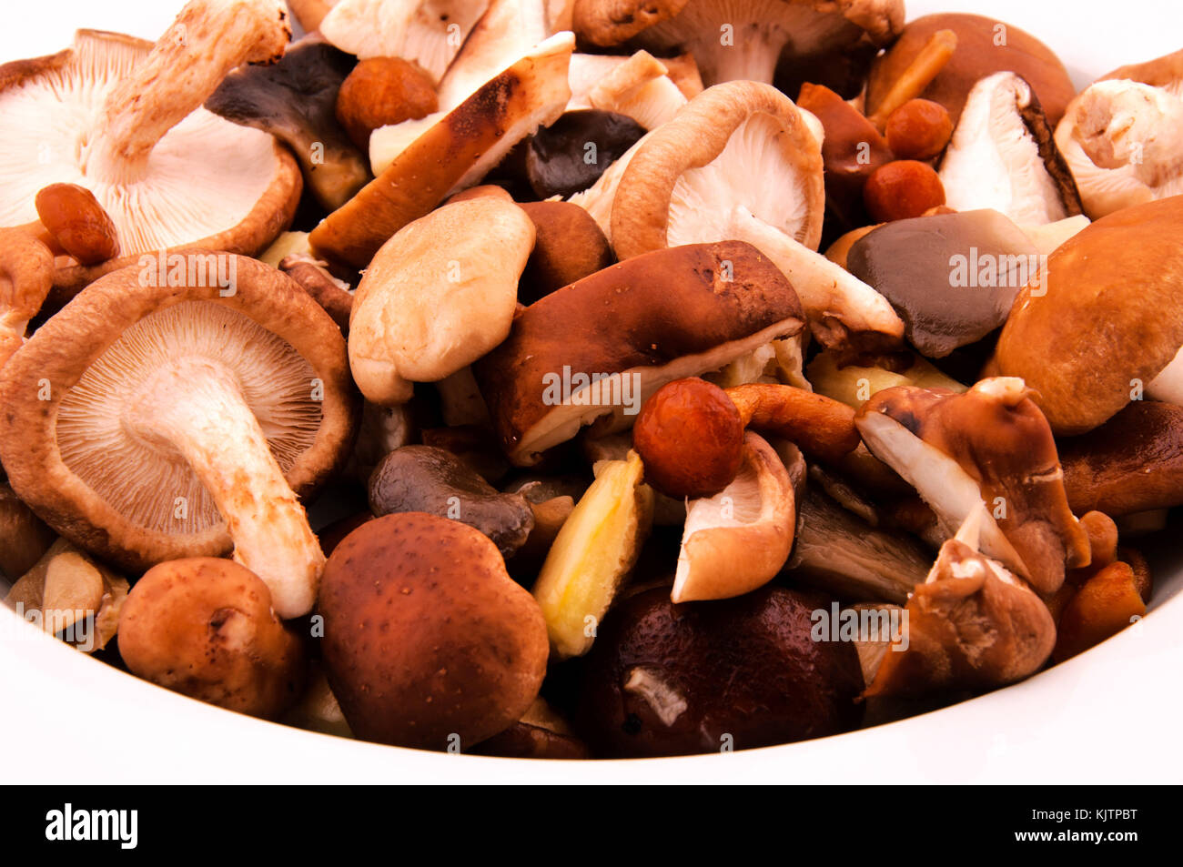 Mushrooms mix isolated on the white Stock Photo - Alamy