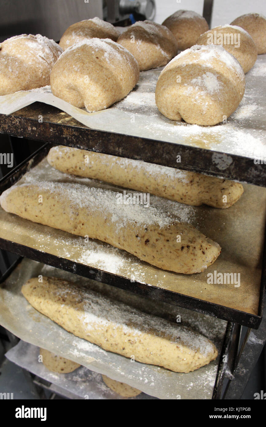 proving fresh bread Stock Photo - Alamy
