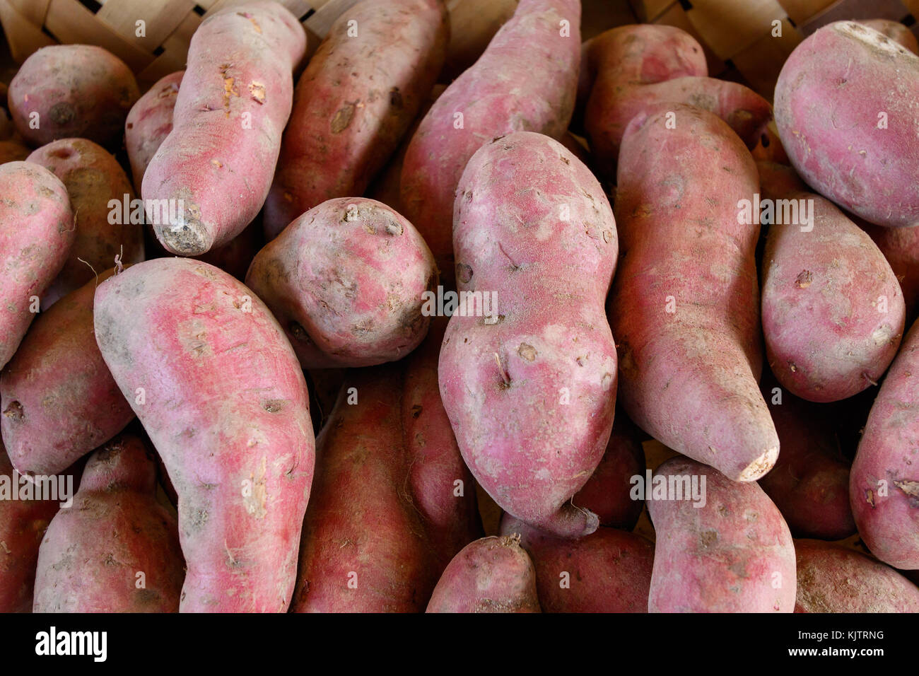 Sweet Potatoes at a Produce Stand Stock Photo - Alamy