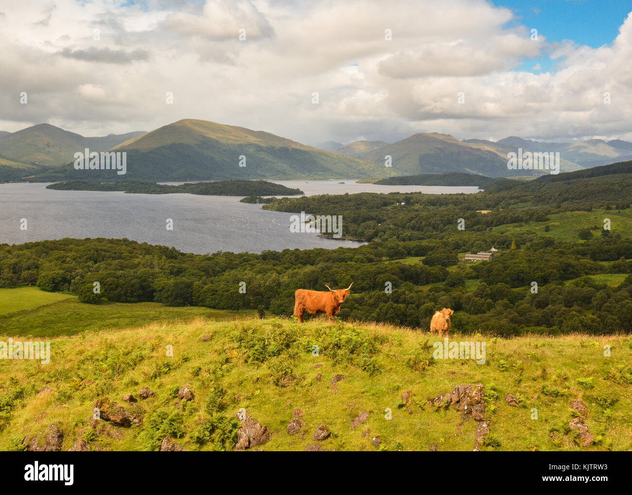 Loch Lomond - view from Conic Hill - Scotland, UK Stock Photo - Alamy