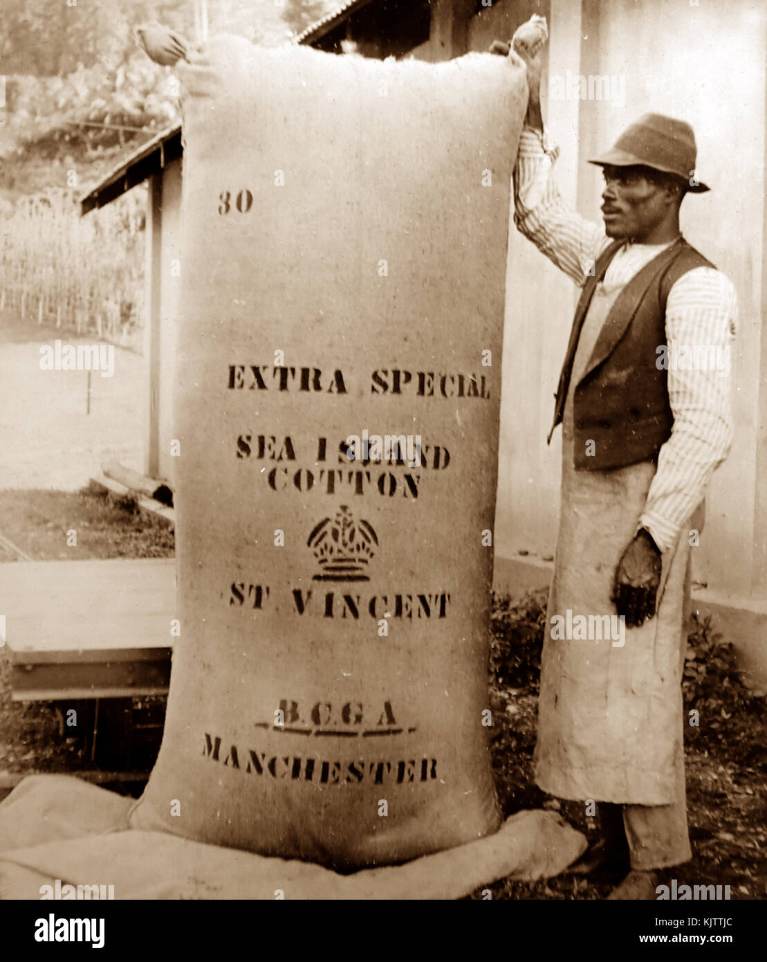 Bale Of Cotton Stock Photos & Bale Of Cotton Stock Images - Alamy