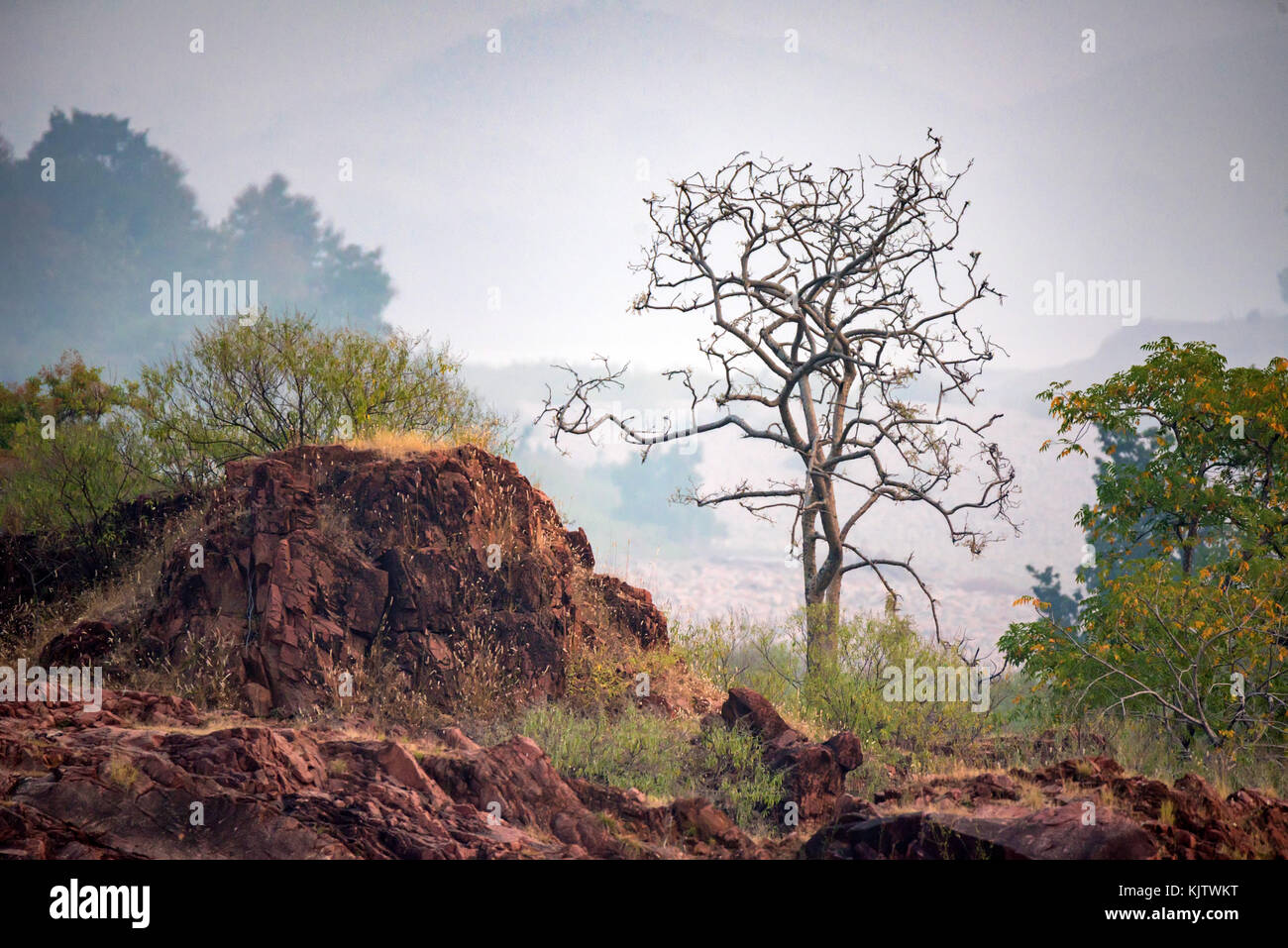 Beautiful Indian landscape in Gharial Sanctuary Stock Photo - Alamy