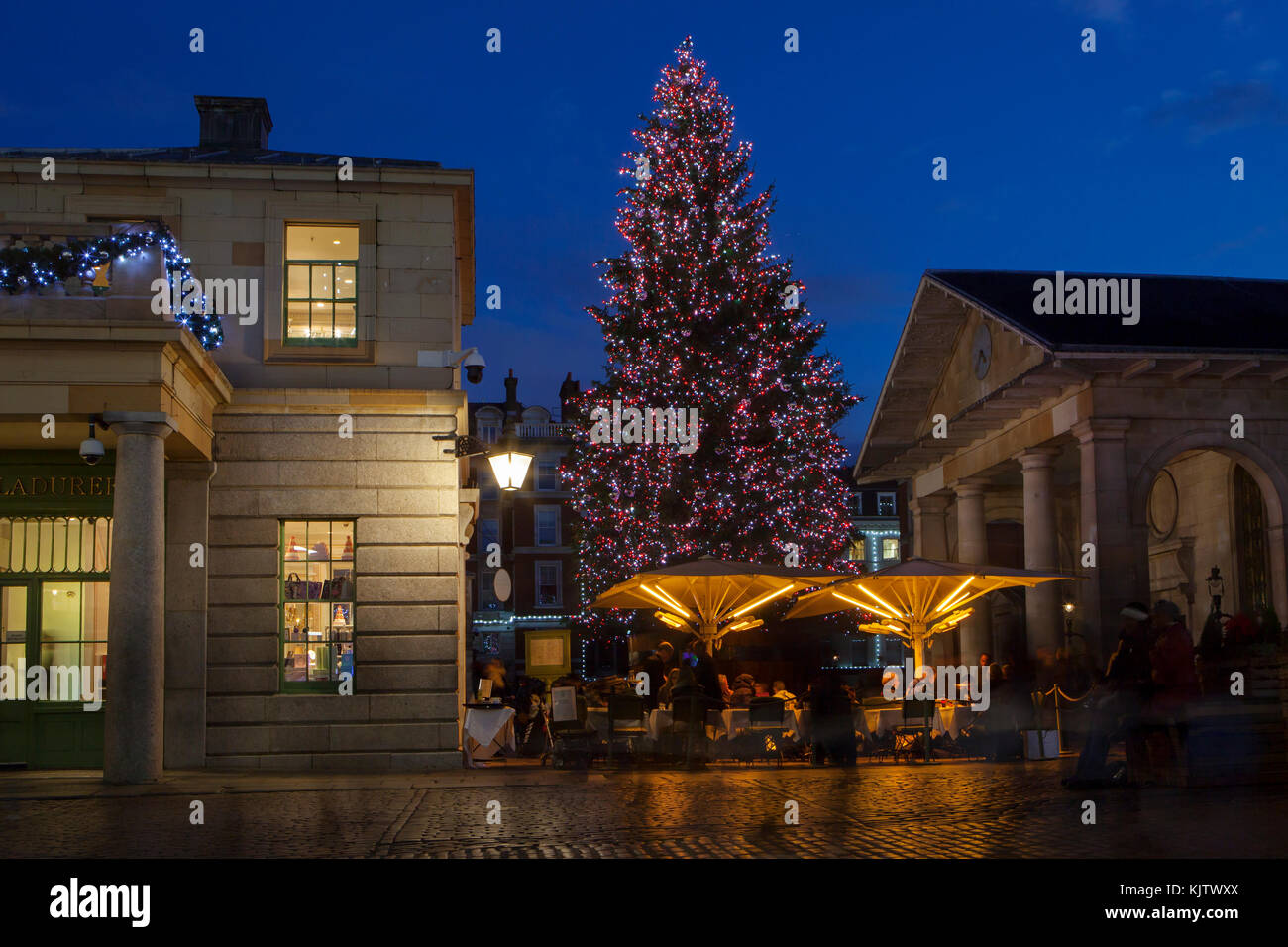 City christmas tree displayed hi-res stock photography and images - Alamy